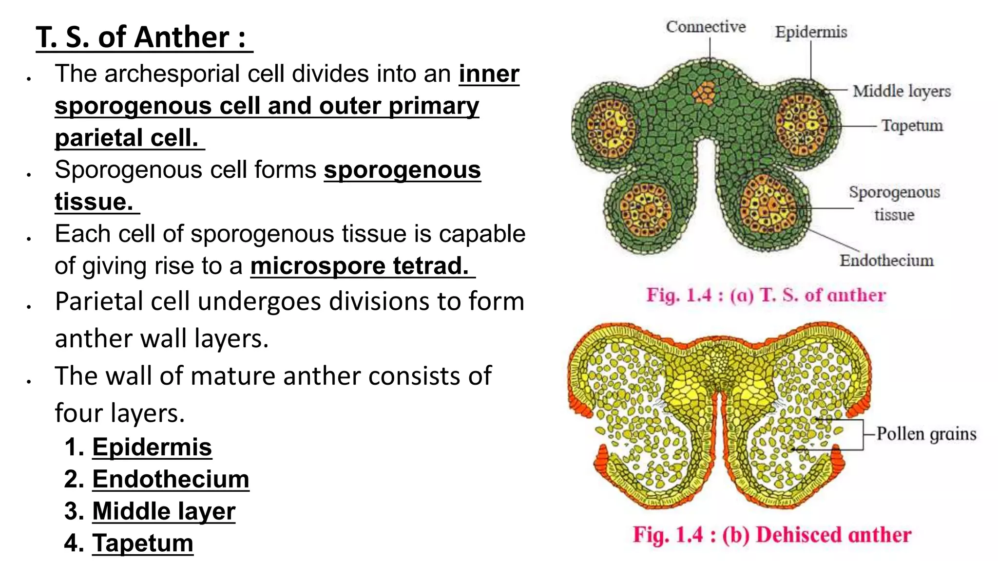 Reproduction in lower and higher plants | PPTX | Infertility ...