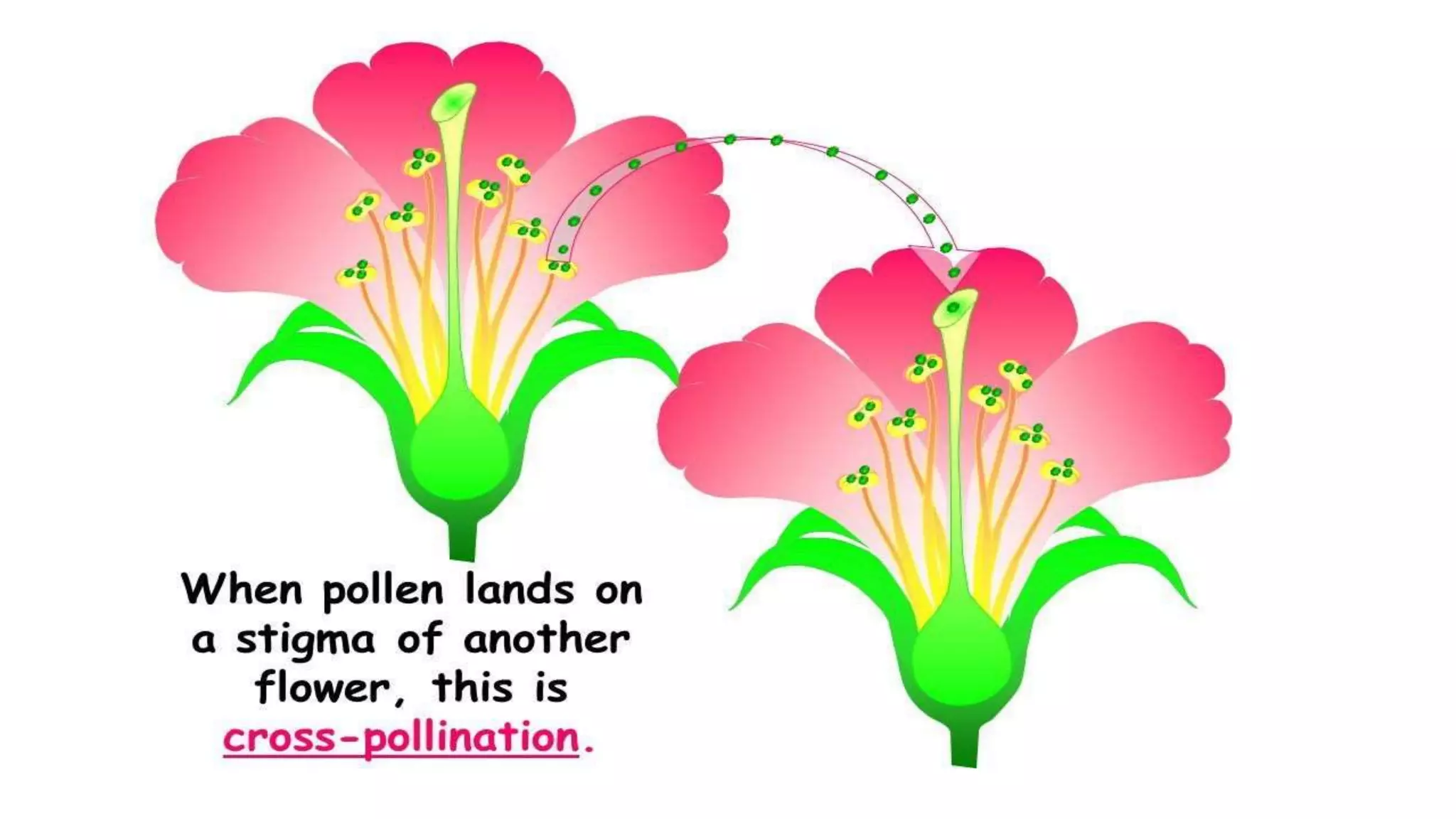 Reproduction in lower and higher plants | PPTX