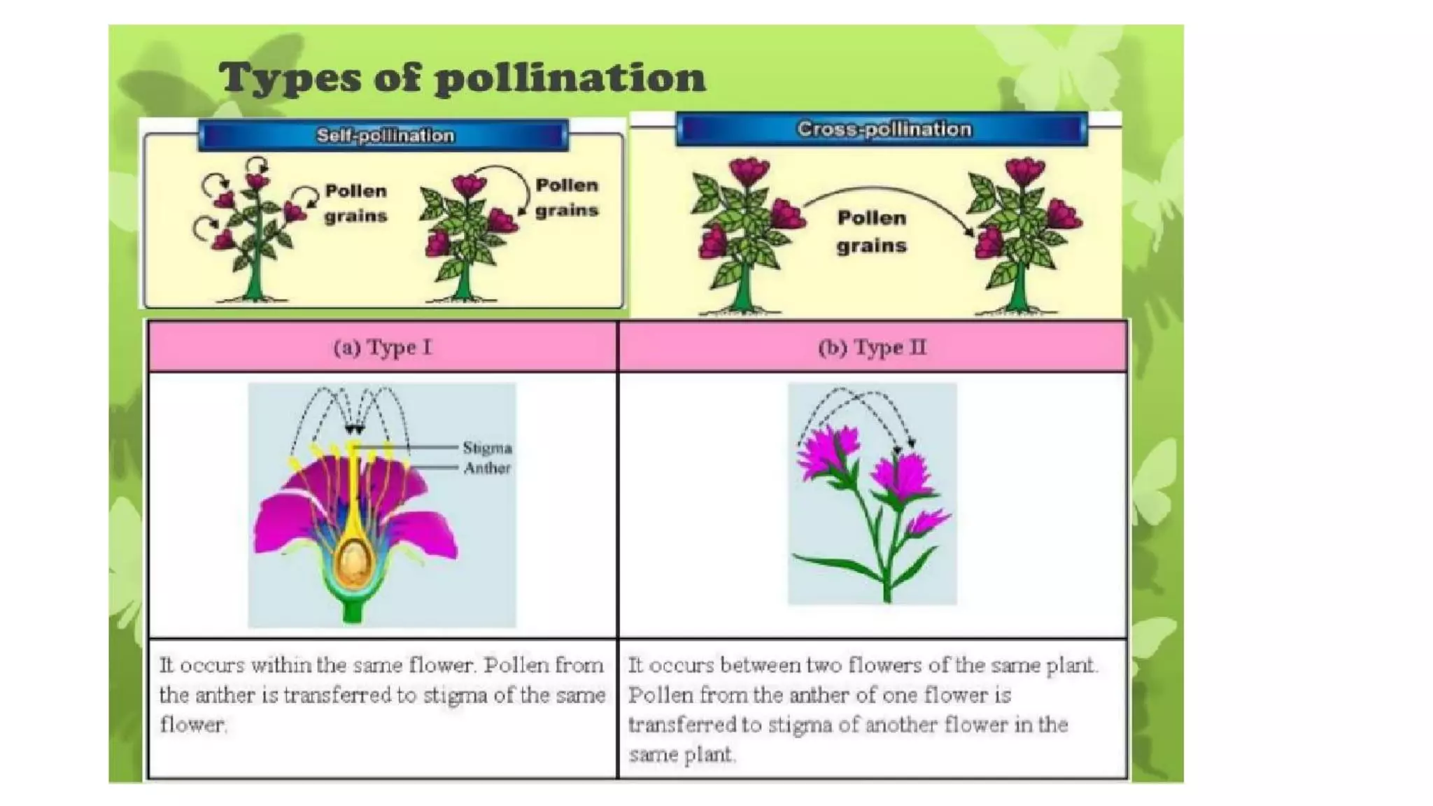 Reproduction in lower and higher plants | PPTX