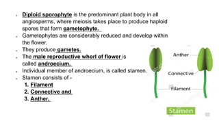 Reproduction in lower and higher plants | PPTX
