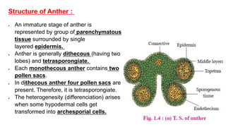 Reproduction in lower and higher plants | PPTX