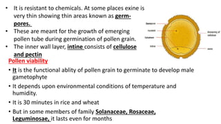 Reproduction in lower and higher plants | PPTX