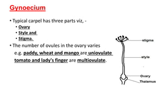 Reproduction in lower and higher plants | PPTX