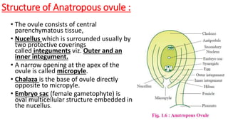 Reproduction in lower and higher plants | PPTX