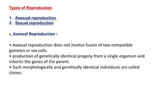 Reproduction in lower and higher plants | PPTX