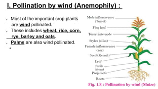 Reproduction in lower and higher plants | PPTX