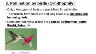 Reproduction in lower and higher plants | PPTX