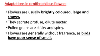 Reproduction in lower and higher plants | PPTX