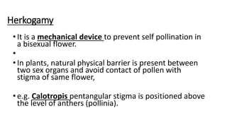 Reproduction in lower and higher plants | PPTX