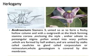 Reproduction in lower and higher plants | PPTX