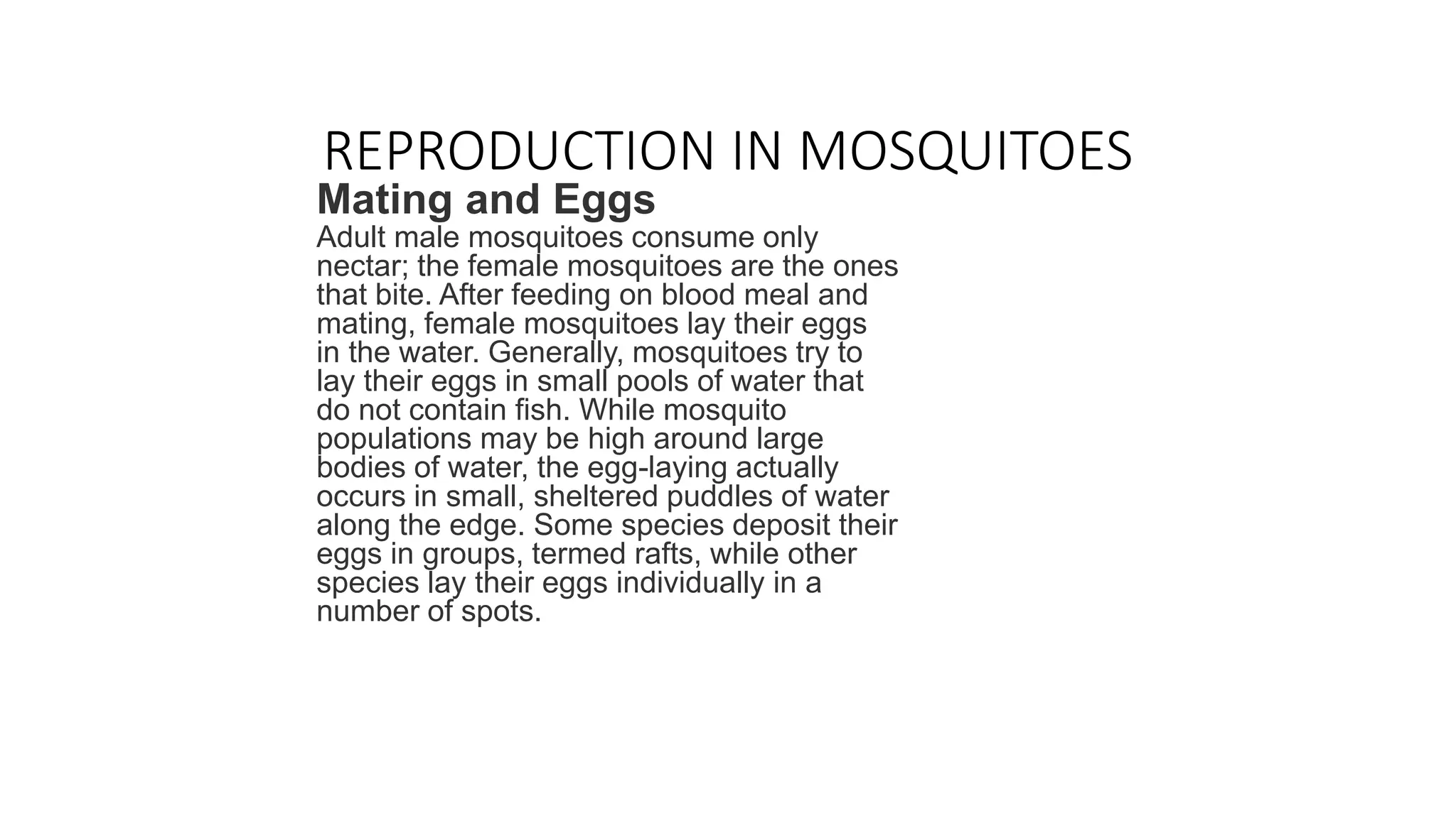 Reproduction in mosquitoes | PPTX