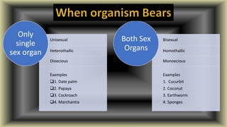 Reproduction in organism | Class XII | Biology | PPTX