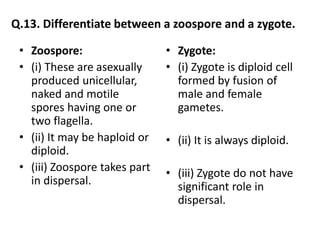Reproduction in organism NCERT Question and Answer by mohanbio2013 | PPT