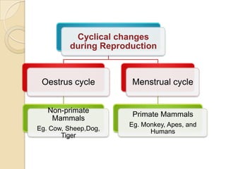 Reproduction in organisms | PPTX