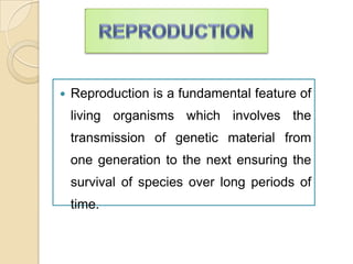 Reproduction in organisms | PPTX