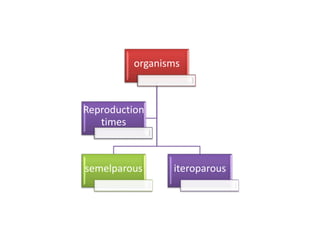 Reproduction in organisms | PPTX