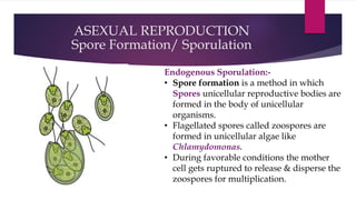 Reproduction in organisms | PPTX