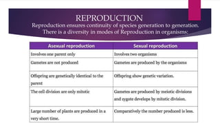 Reproduction in organisms | PPT