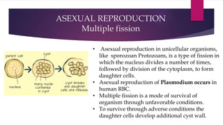 Reproduction in organisms | PPTX