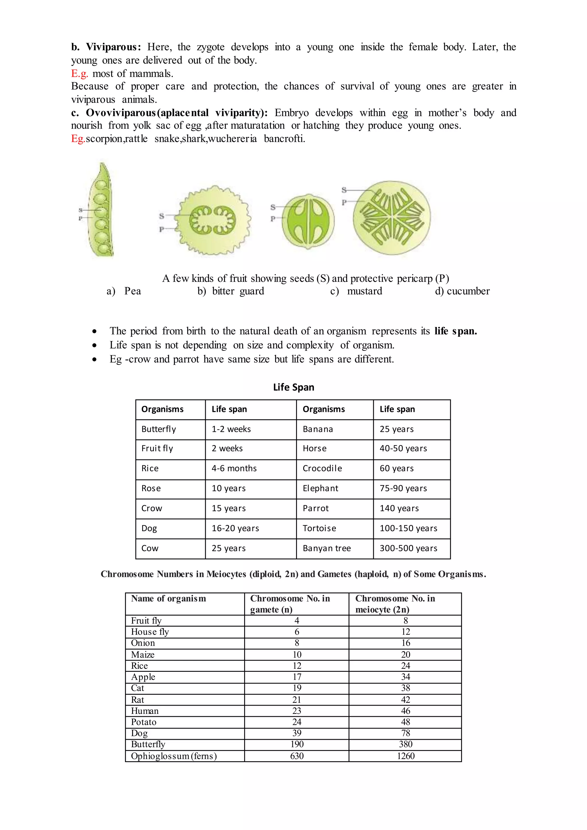 Reproduction in Organisms | PDF