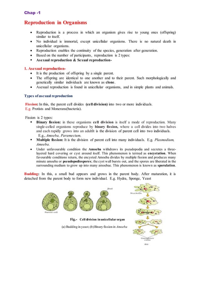 Reproduction in Organisms | PDF