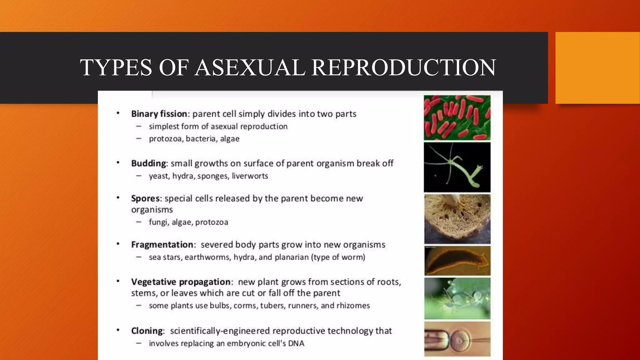 Reproduction in organisms | PPT