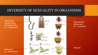Reproduction in organisms | PPTX