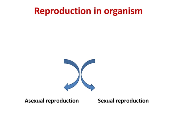 Reproduction in organisms, Life cycle phases, Asexual and sexual ...