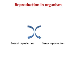 Reproduction in organisms, Life cycle phases, Asexual and sexual ...