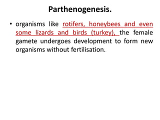 Parthenogenesis In Rotifers
