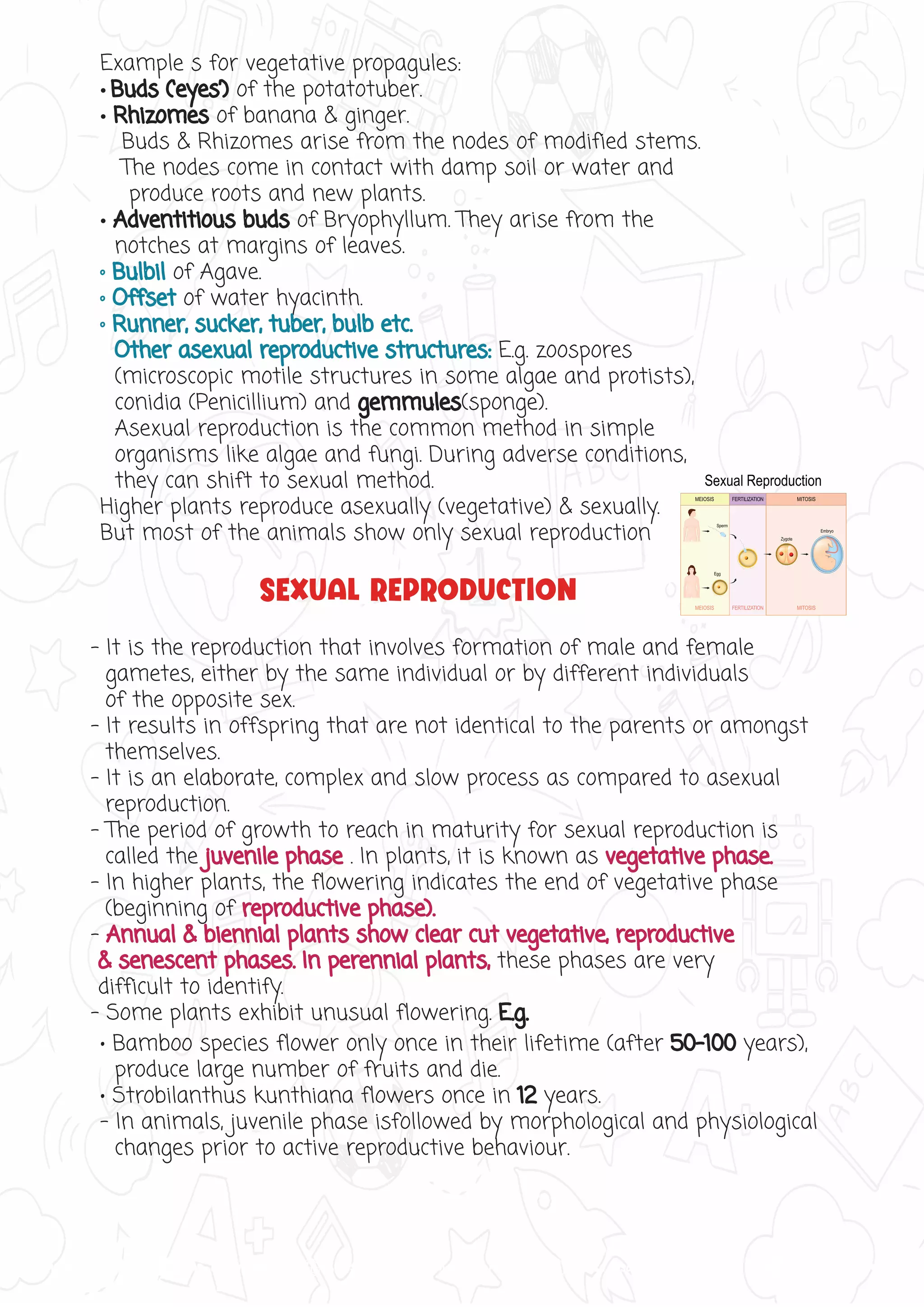Reproduction In Organisms.pdf