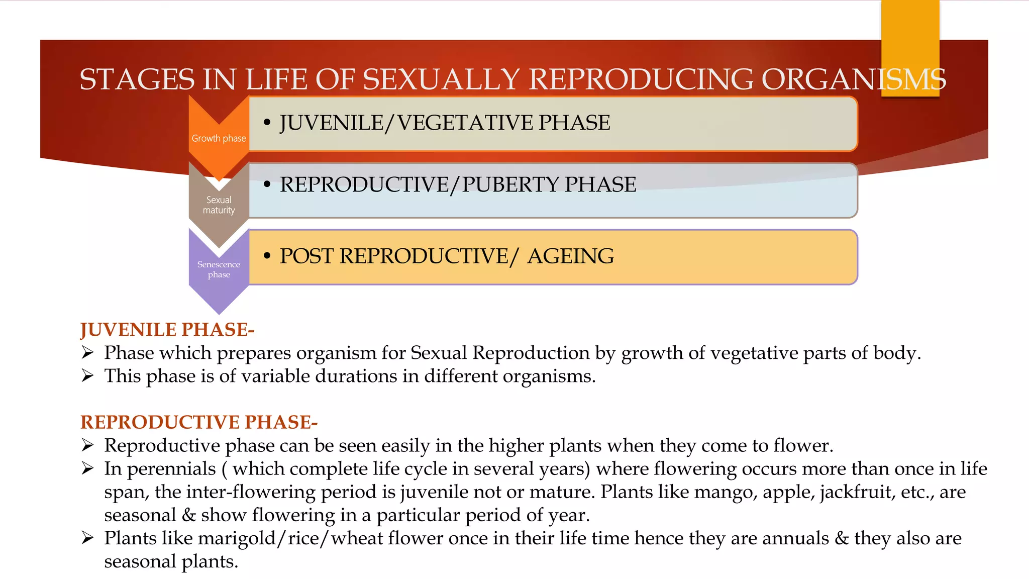 Reproduction in organisms | PPTX