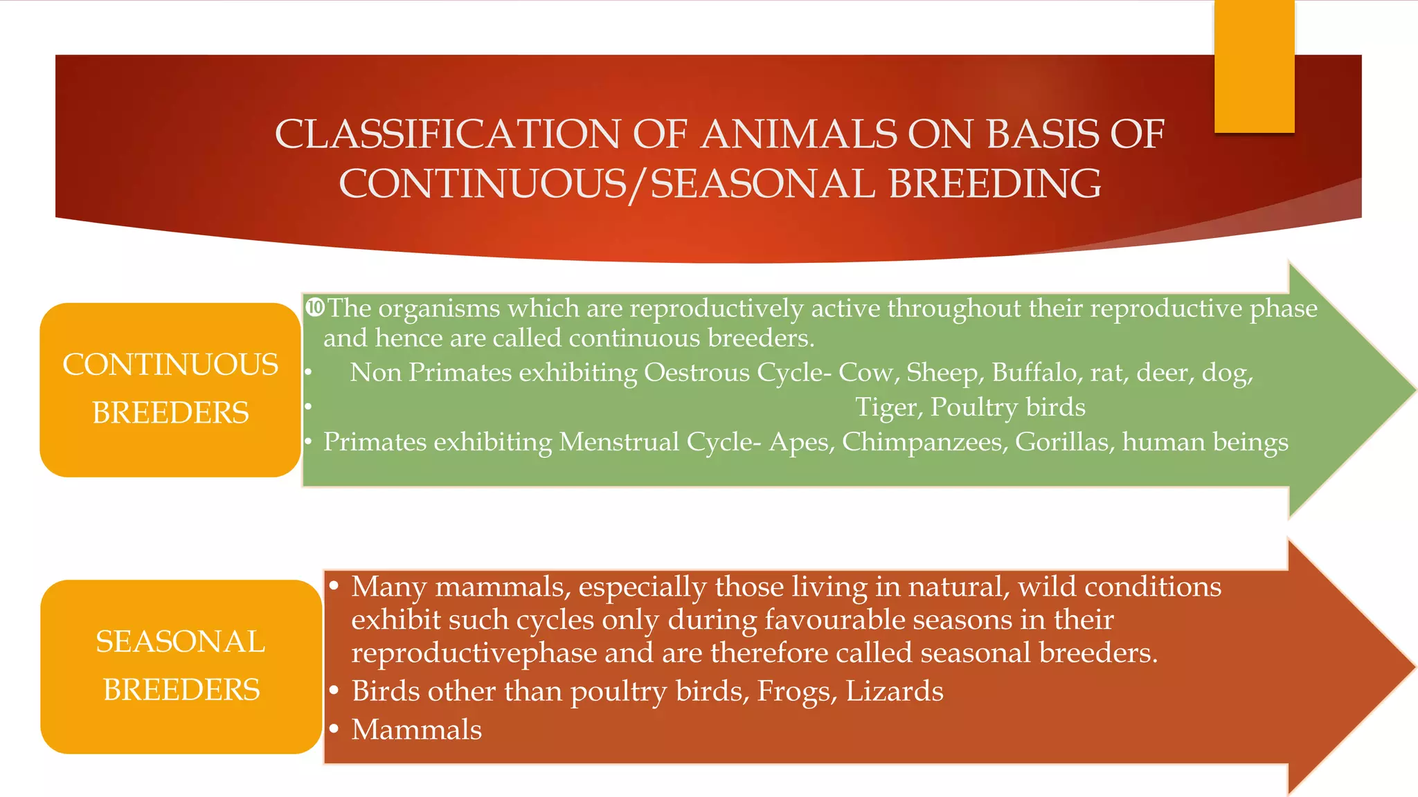 Reproduction in organisms | PPTX