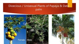 Reproduction in organisms | PPTX