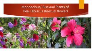 Reproduction in organisms | PPTX | Sexual Conditions | Sexual Health