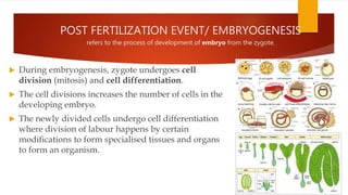 Reproduction in organisms | PPTX | Sexual Conditions | Sexual Health