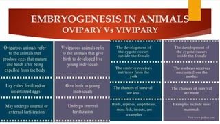 Reproduction in organisms | PPTX | Sexual Conditions | Sexual Health