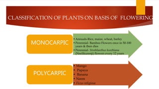 Reproduction in organisms | PPTX | Sexual Conditions | Sexual Health