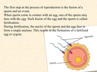 Reproduction in organisms notes . | PPT