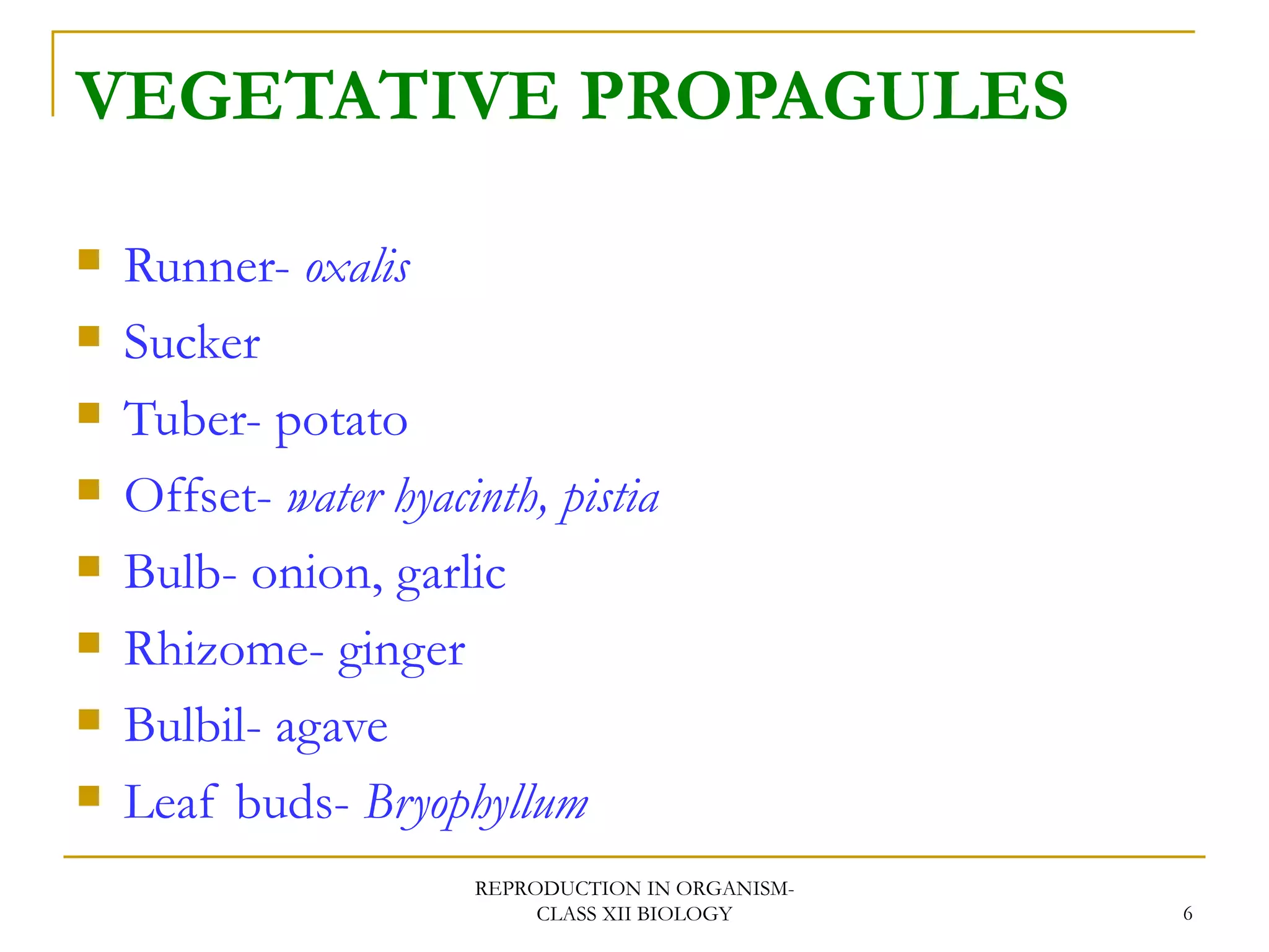 Reproduction In Organisms-CBSE Class XII Biology | PPT