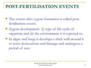 Reproduction In Organisms-CBSE Class XII Biology | PPT