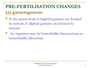 Reproduction In Organisms-CBSE Class XII Biology | PPT