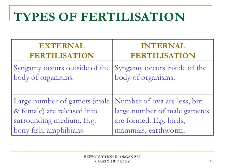 Difference Between Internal And External Fertilization Bio Differences
