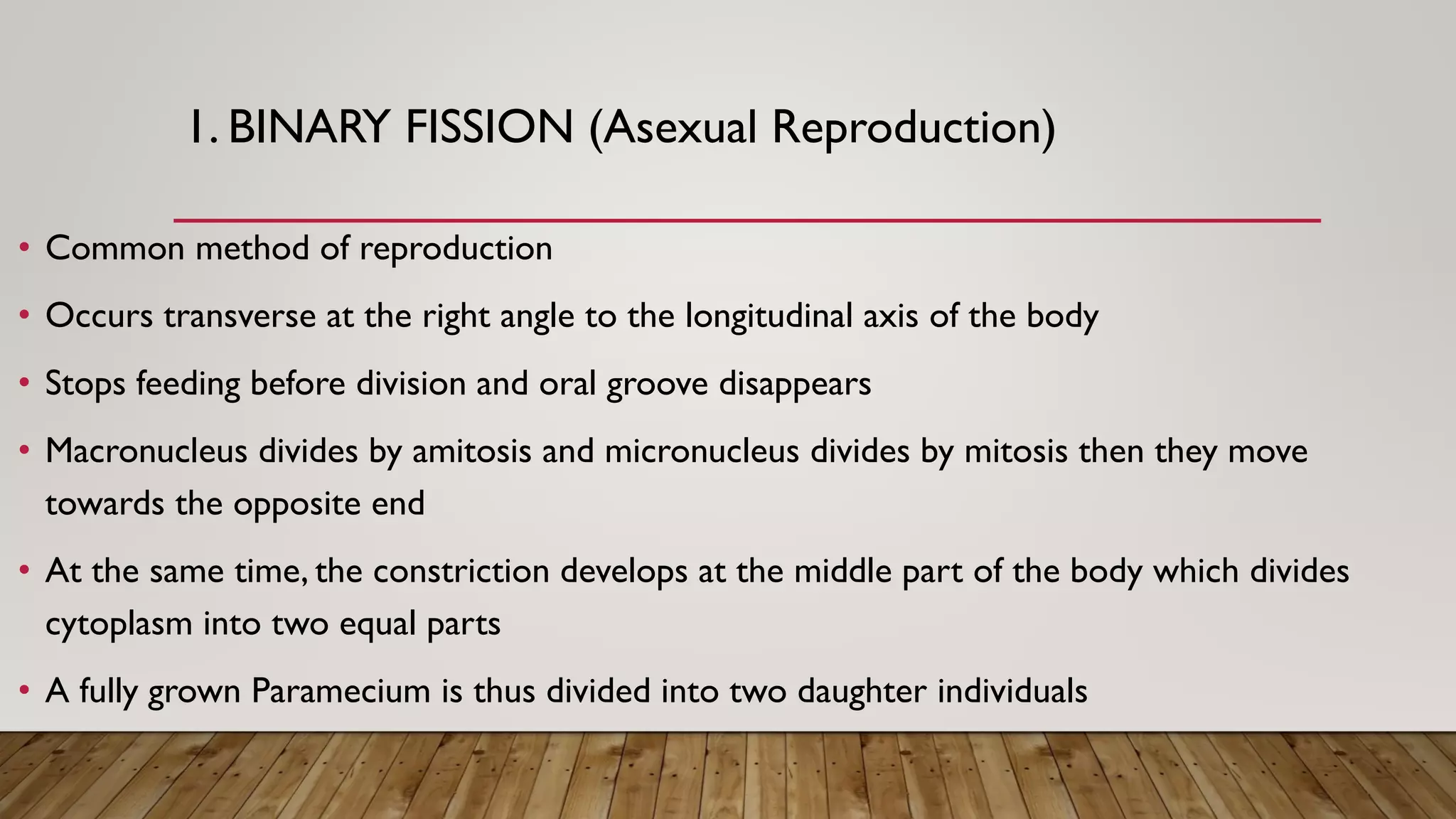 Reproduction in paramecium | PDF