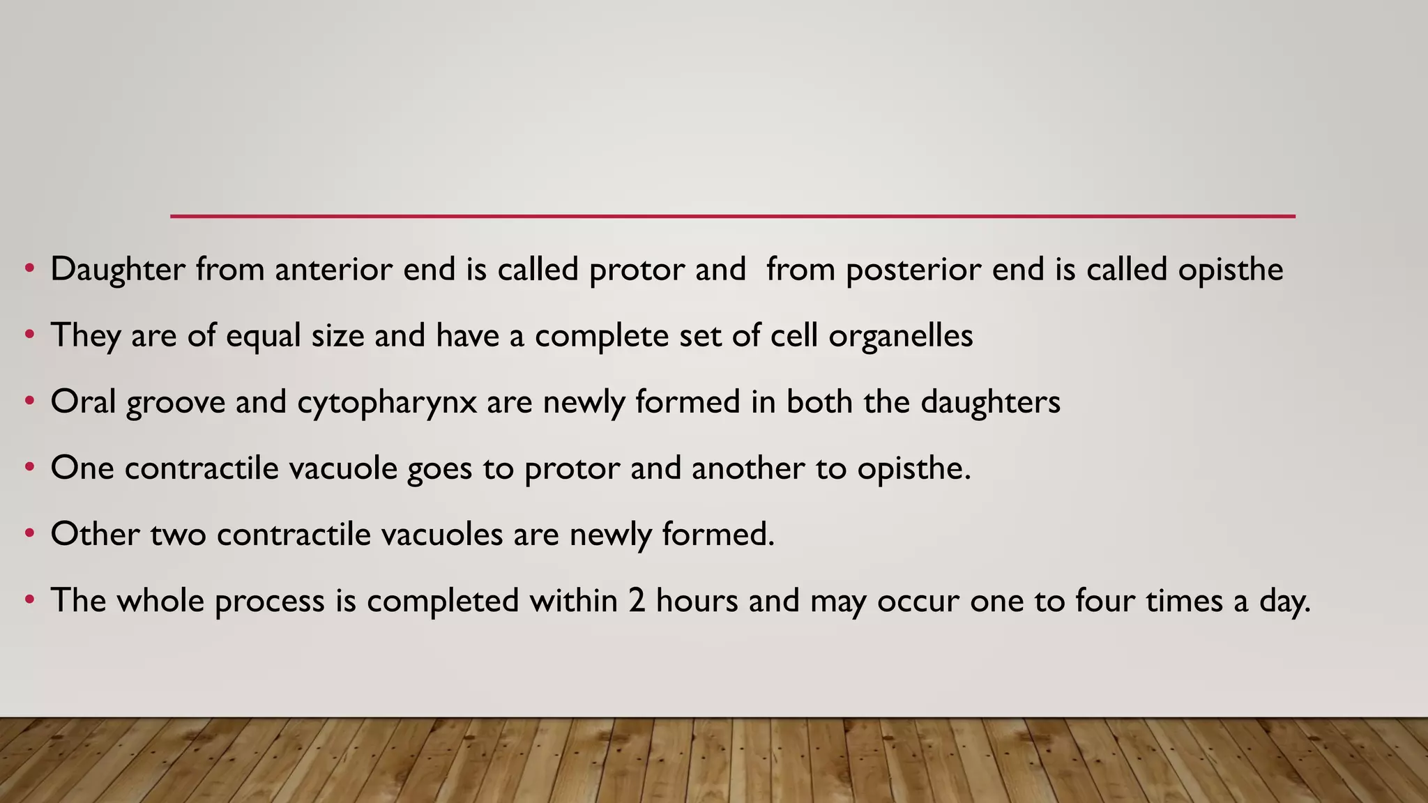 Reproduction in paramecium | PDF