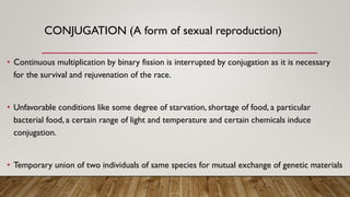 Reproduction in paramecium | PDF