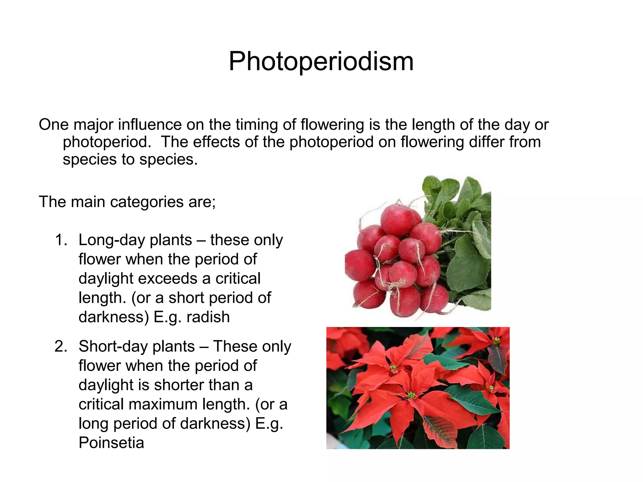 Reproduction in plants | PPT