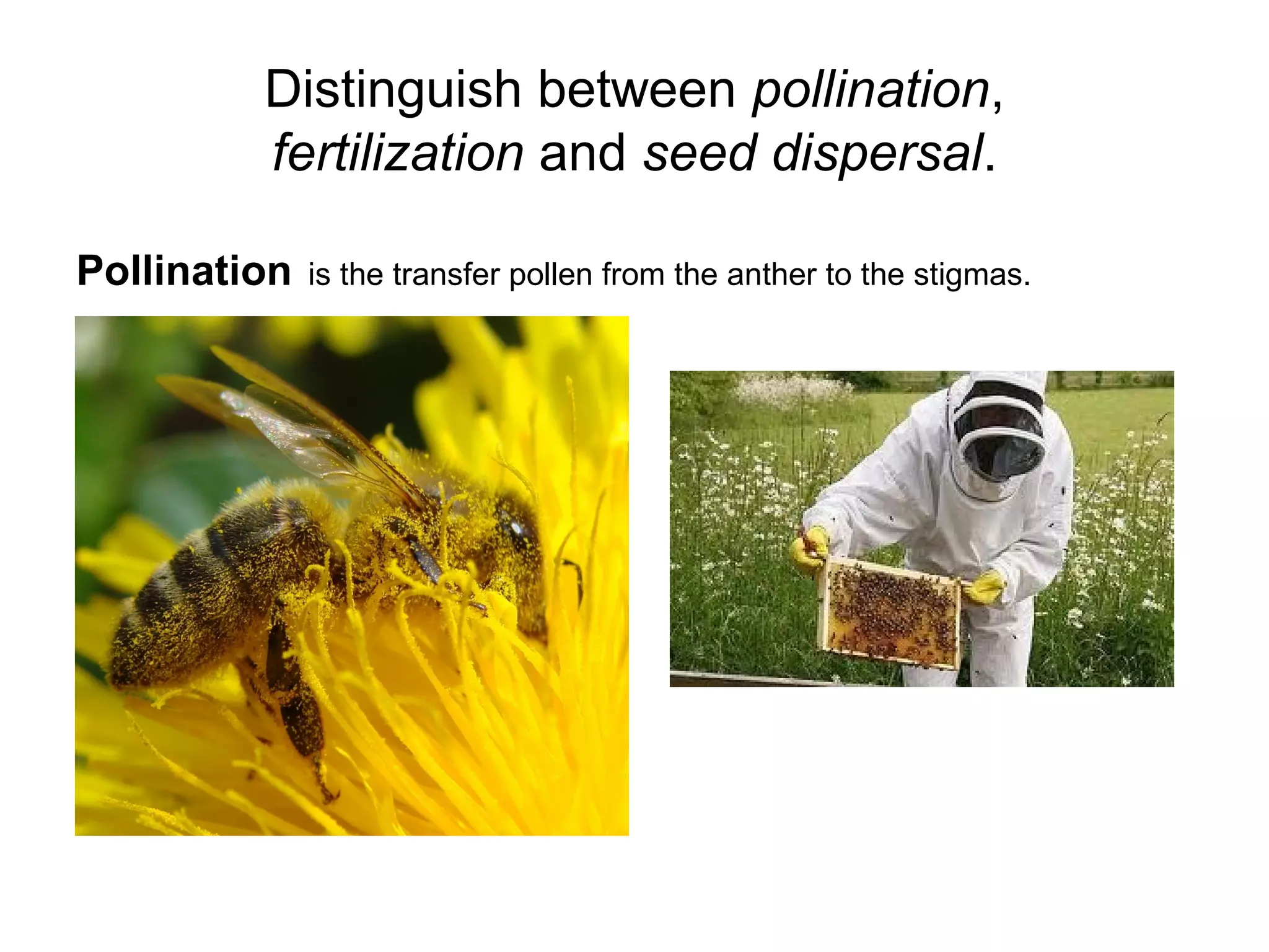 Reproduction in plants | PPT