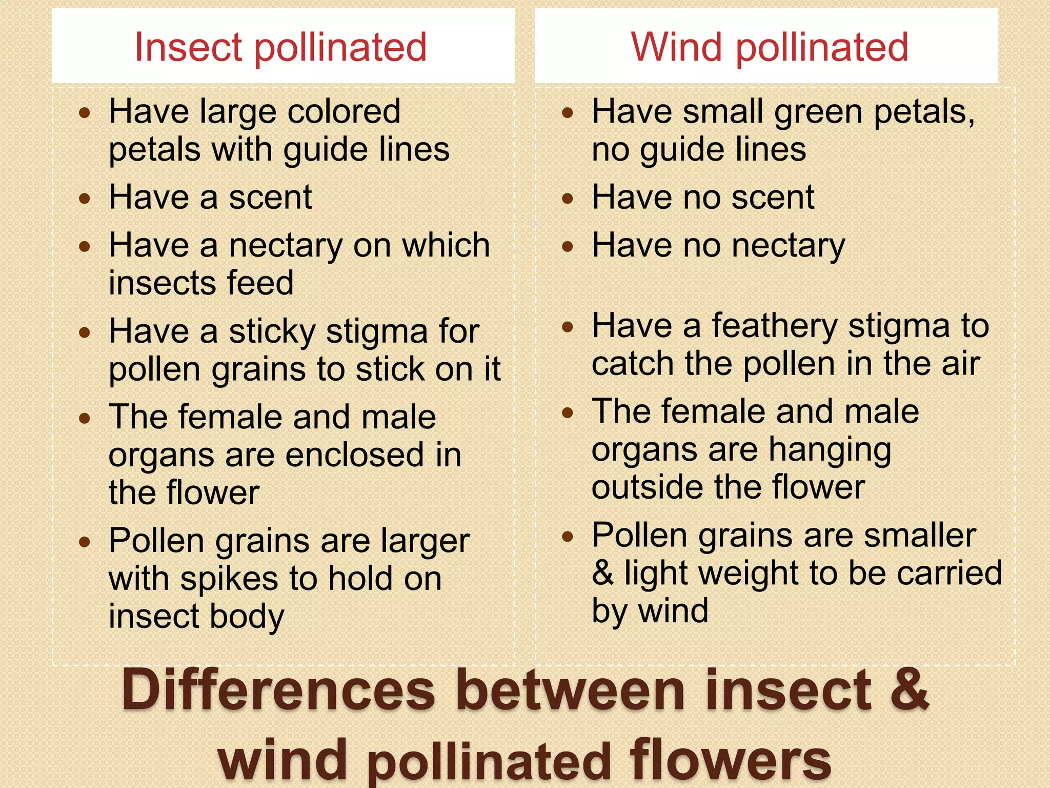 Reproduction in plants | PPTX