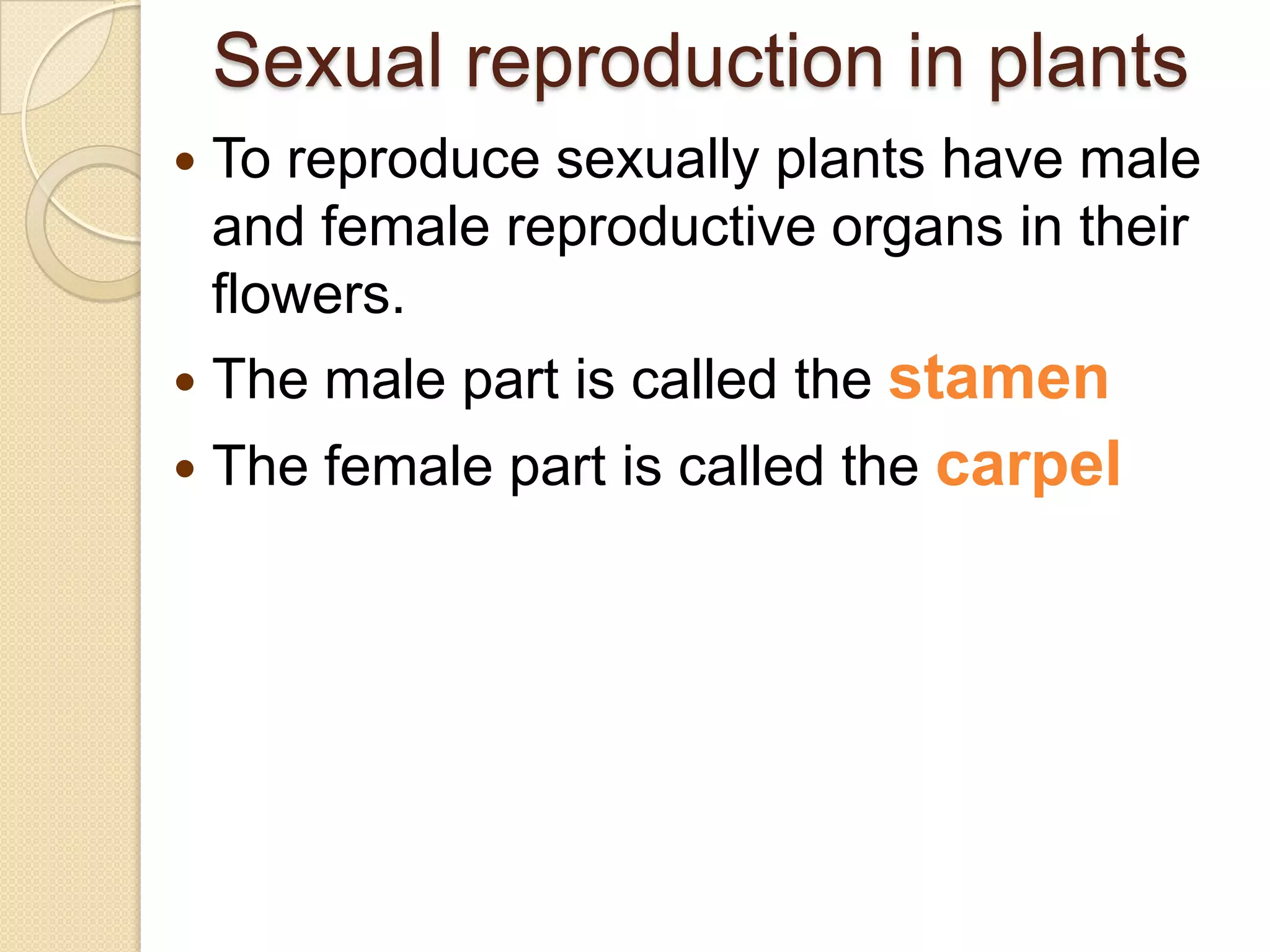 Reproduction in plants | PPTX